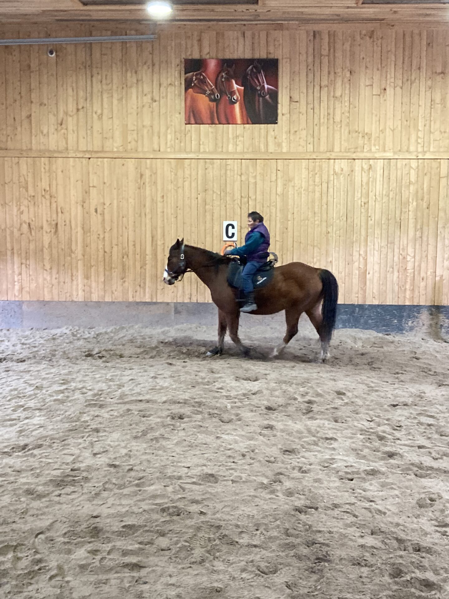 Journée inclusive au Ranch Kiméyan - Zero Limit